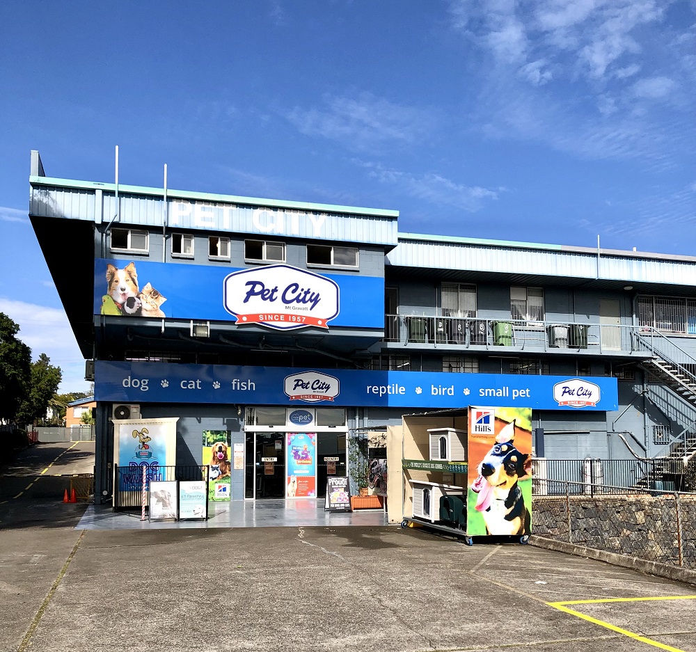 The History of Pet City